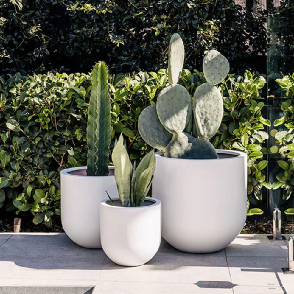 STRAIGHT UP – SMITHMADE